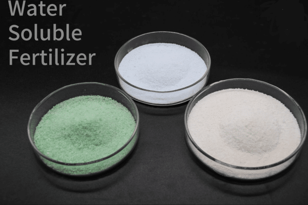 Maximizing Nutrient with Organic Water Soluble Fertilizer