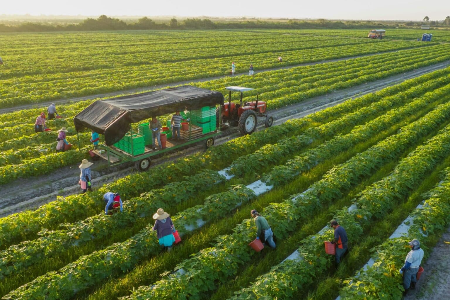 Fertilizer Companies List: Ranking the Top 5 Global Producers