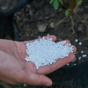 Why Ammonium Nitrate is a Popular Fertilizer for Plant Growth