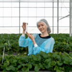 Urea Fertilizer: Exploring the Role of Urea in Agriculture for ...