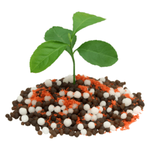 Urea Fertilizer: Exploring the Role of Urea in Agriculture for ...