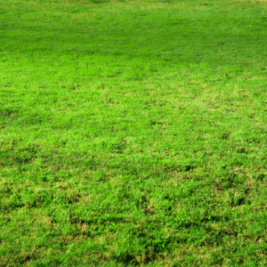 Can You Over-Fertilize Your Lawn? Understanding the Risks and Remedies