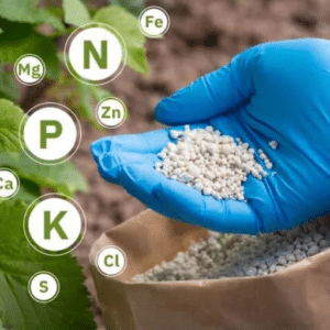 The Ultimate Guide to 20-20-20 Plant Fertilizer: A Deep Dive into ...