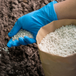 Kieserite Fertilizer: The Ideal Solution to Magnesium Deficiencies