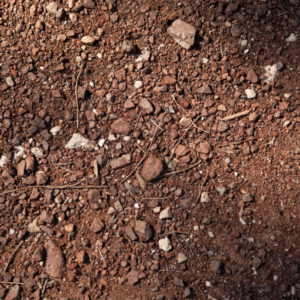 Guide to Organic Chicken Manure Fertilizer: A Comprehensive Look at ...