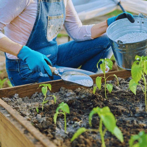 Discover the Benefits of Potassium Nitrate Fertilizer