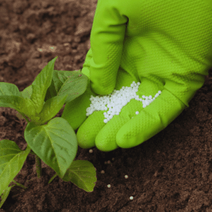 How Potassium Nitrate Fertilizer is Produced
