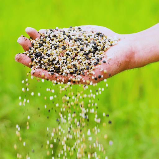 How Potassium Nitrate Fertilizer is Produced