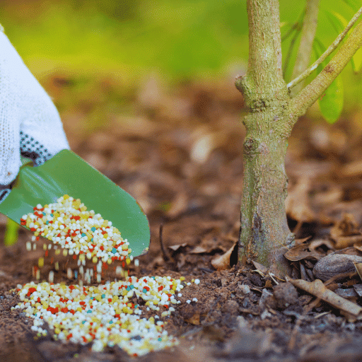 How to Apply Potassium Nitrate Fertilizer Effectively