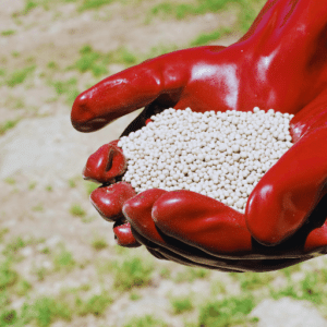 How to Apply Potassium Nitrate Fertilizer Effectively