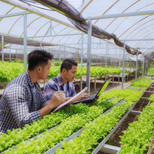 Can Potassium Nitrate Be Used in Organic Farming?