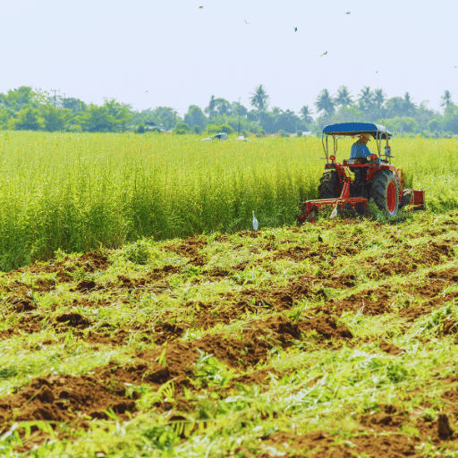 Can Potassium Nitrate Be Used in Organic Farming?