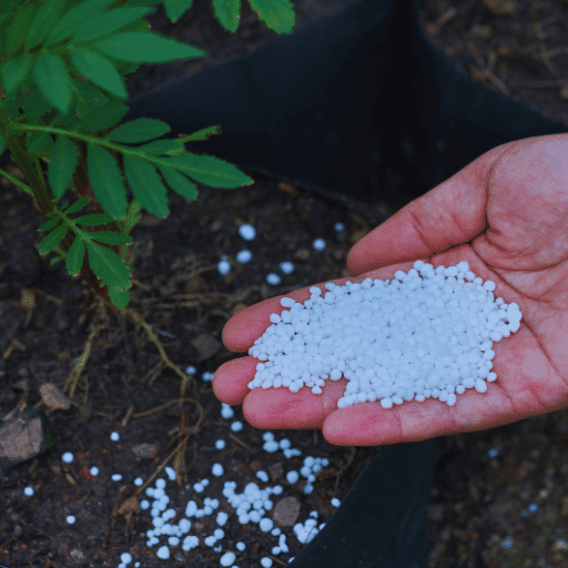 Potassium Nitrate vs. Urea: Which is Better for Your Crops?