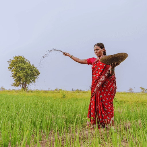 Sustainable Farming with Potassium Nitrate Fertilizer