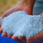 How Does the Use of Fertilizer Affect the Nitrogen Cycle? A ...