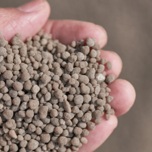 When to Apply Phosphorus Fertilizer: Understanding Phosphate for ...