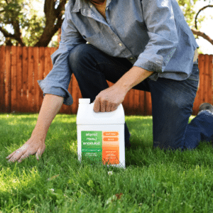 Boost Your Lawn's Vigor: The Ultimate Guide to High Potassium Fertilizers