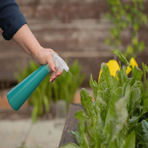What Is 18 18 18 Fertilizer Used For 