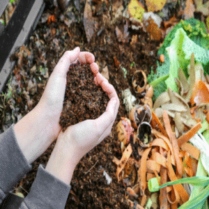 How to Make Compost at Home: 7 Simple Steps to Enrich Your Garden
